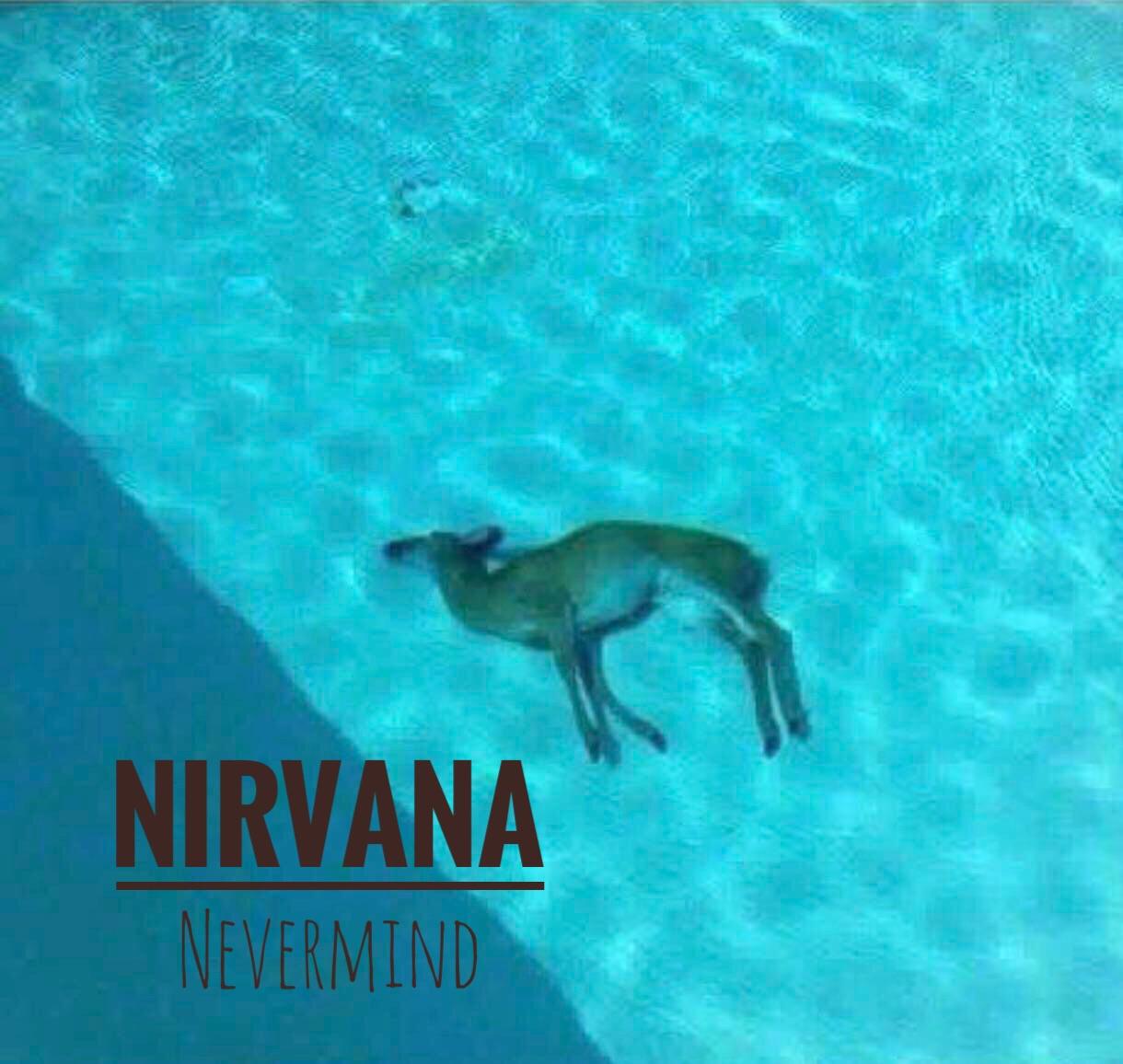 Nirvana - Nevermind | Scrolller