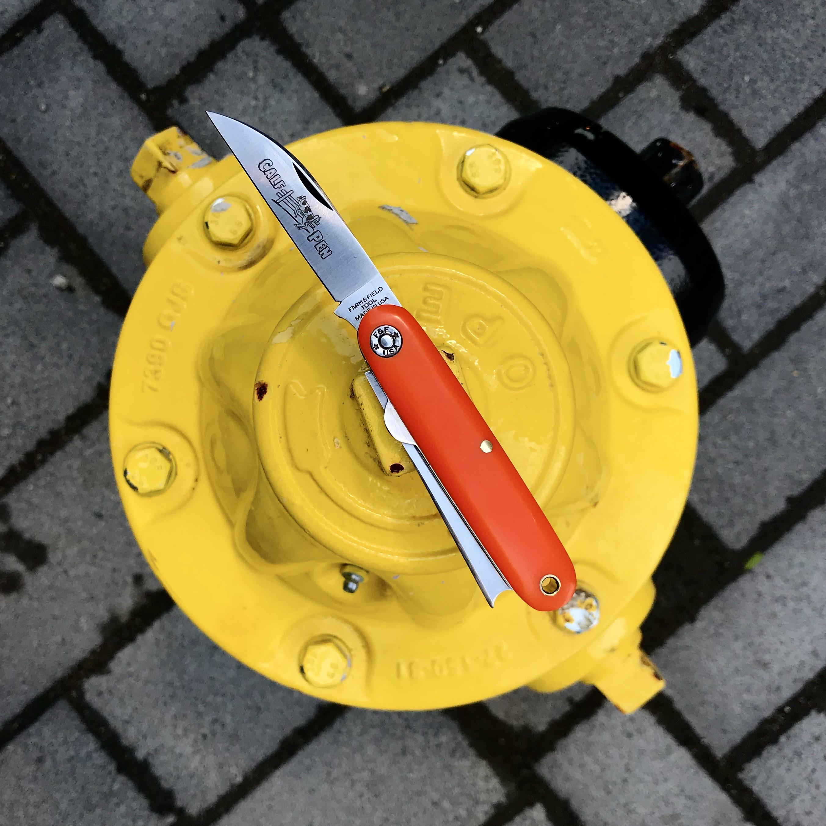 NKD - My First GEC | Scrolller