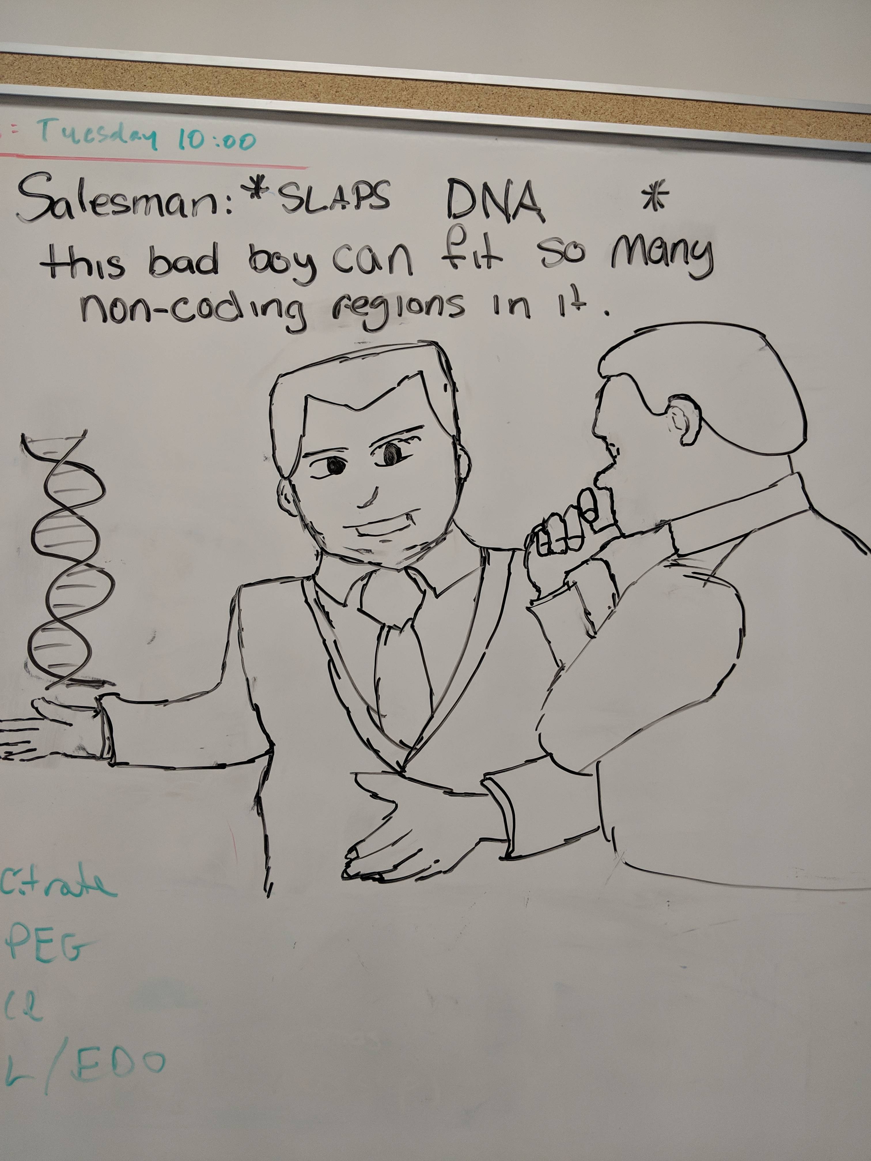 No better use for the lab whiteboard than this | Scrolller