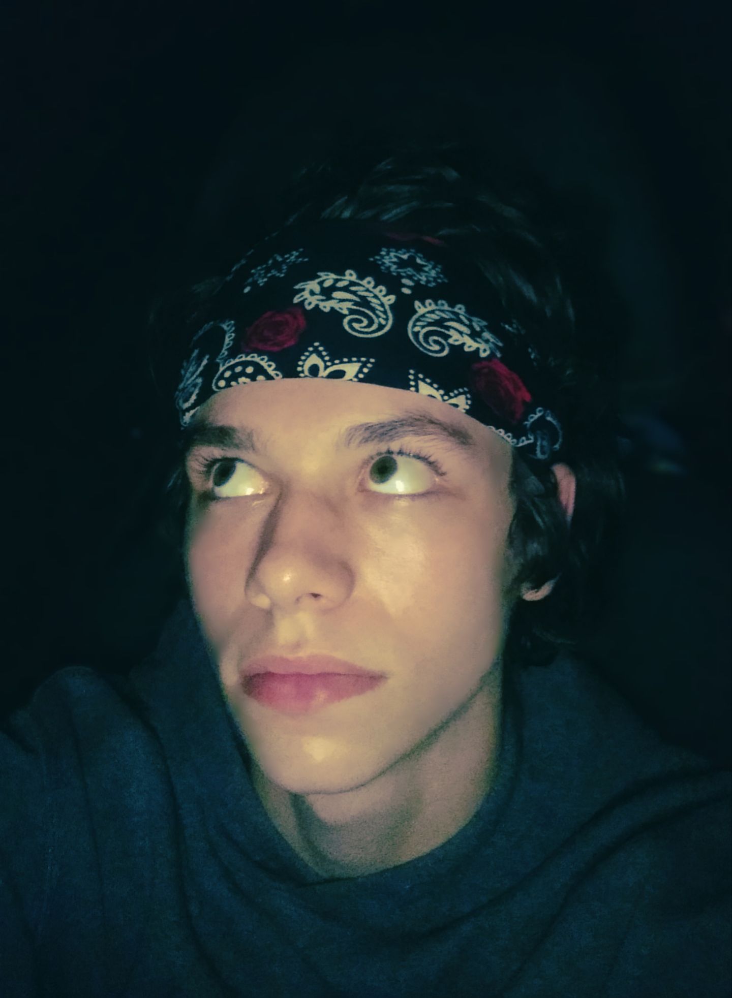 No BS🤬 | Scrolller