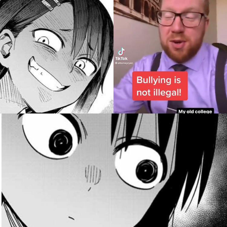 No bully | Scrolller