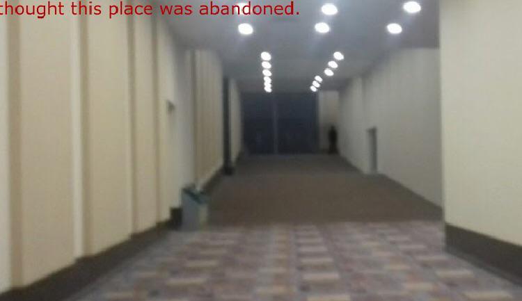 “No dimension is truly gone” | Scrolller