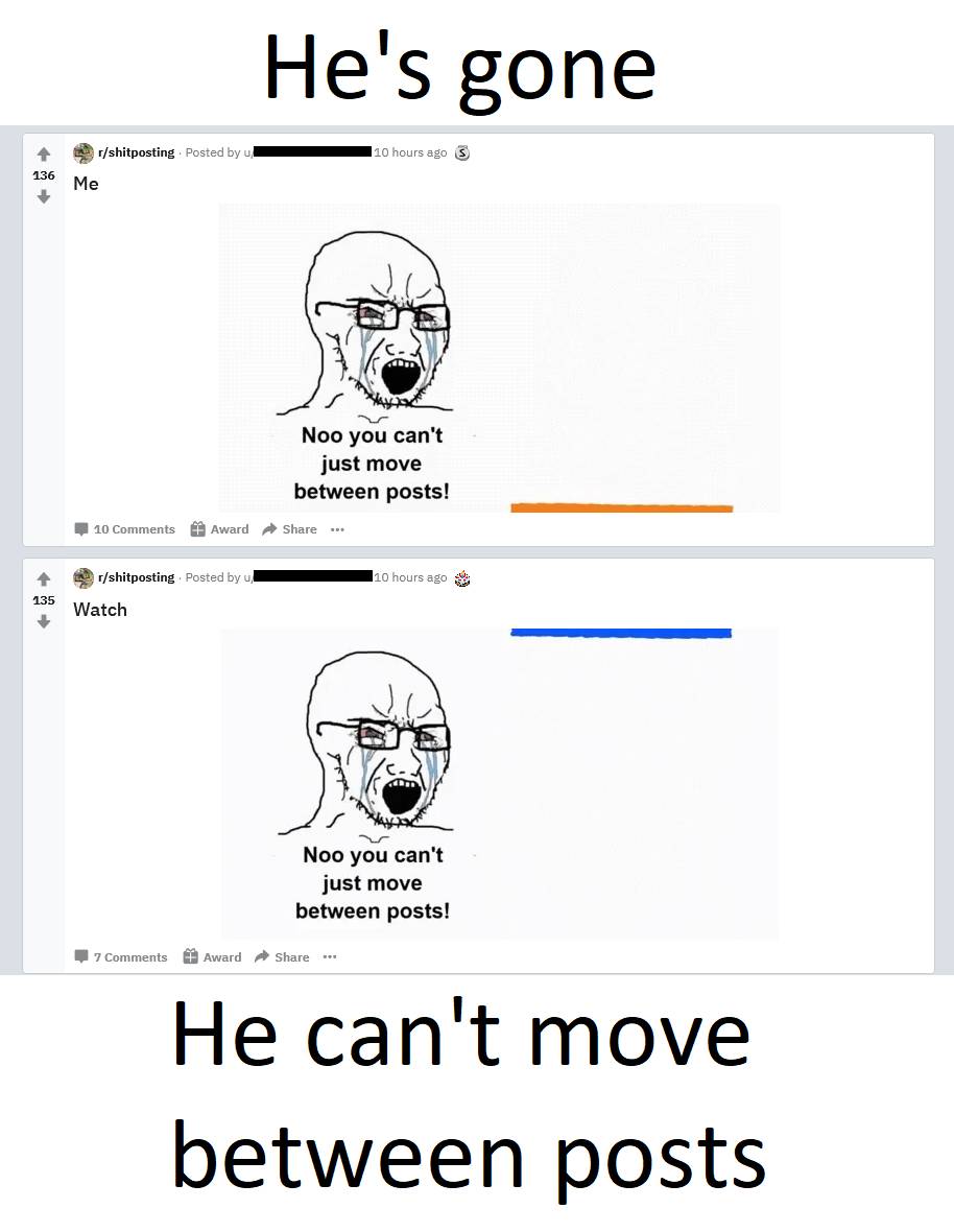 No more, he now cannot | Scrolller