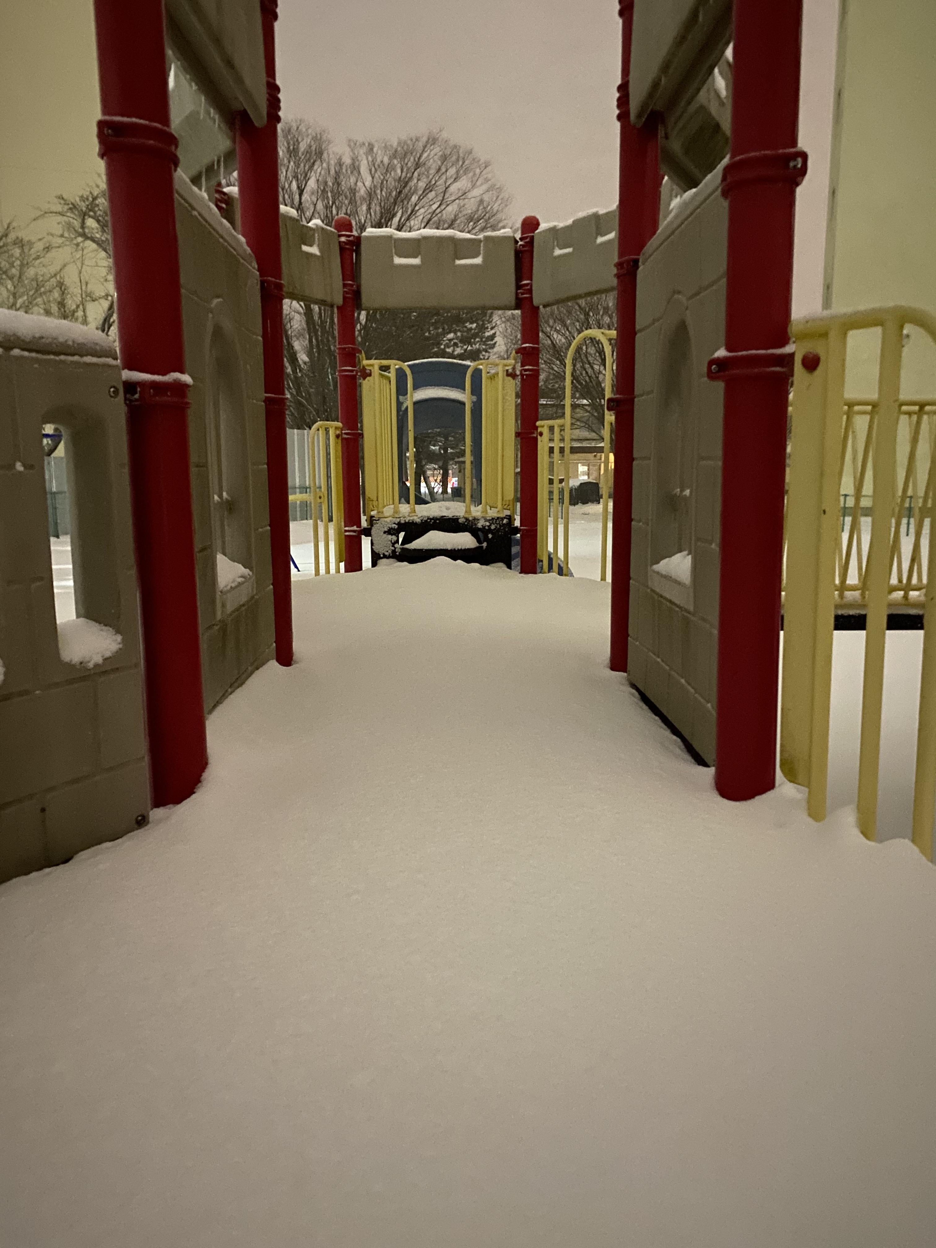 No one is here | Scrolller