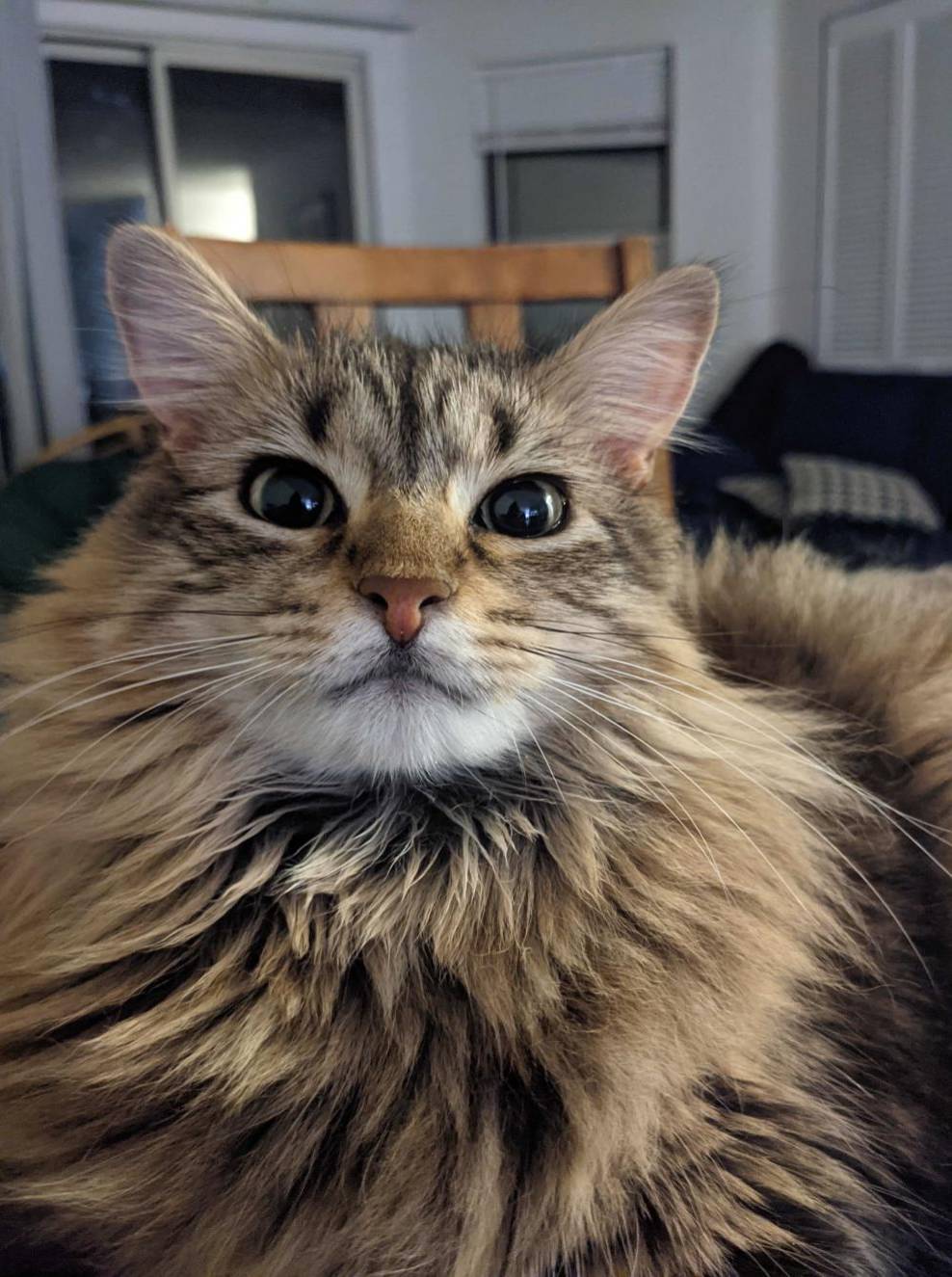 No Thoughts, Head Empty | Scrolller