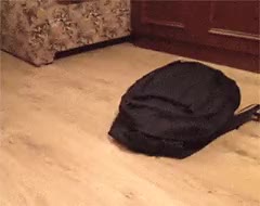 Noooo don't touch me! | Scrolller