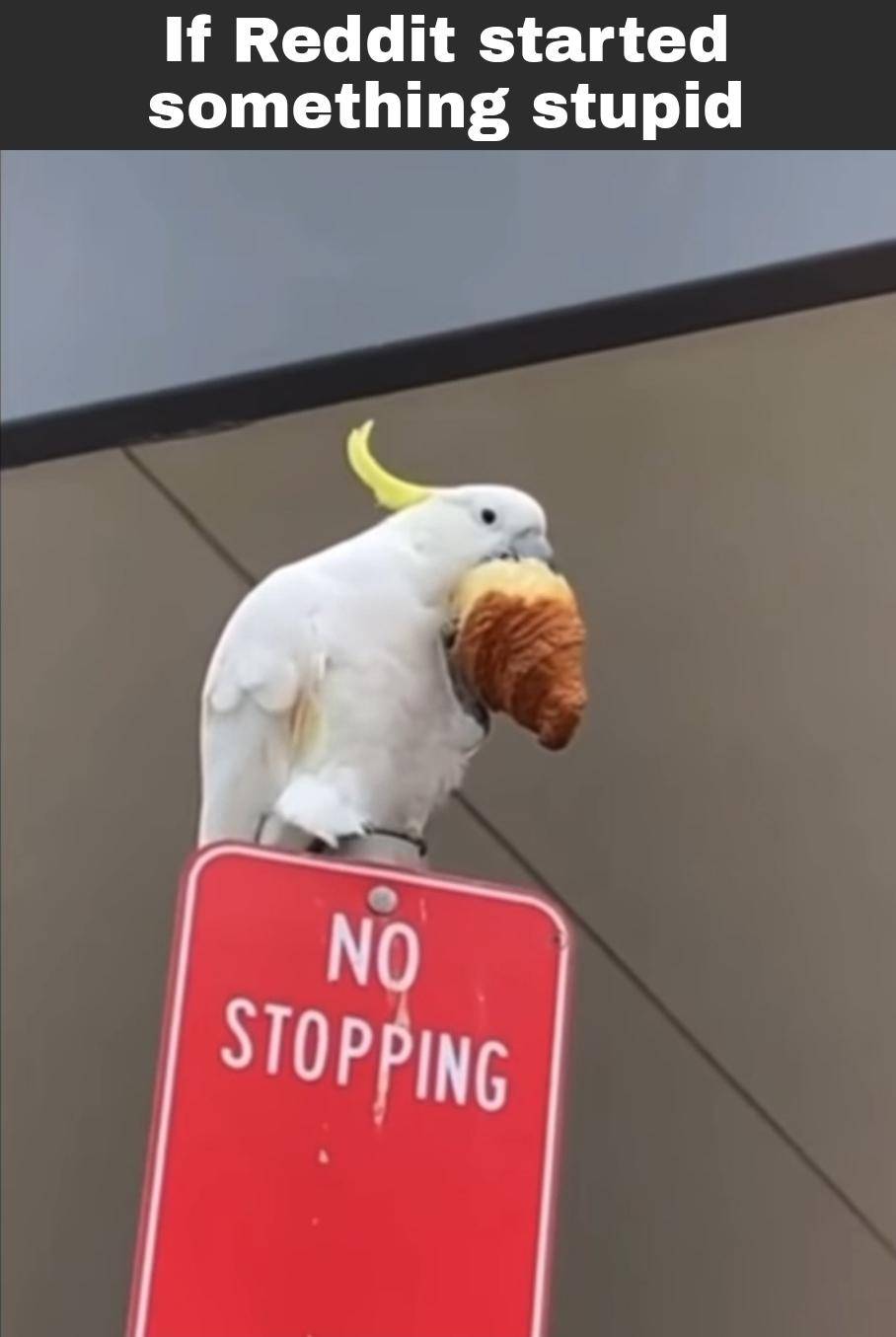 Not bad, not bad | Scrolller