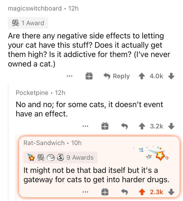 Not ken m on catnip | Scrolller