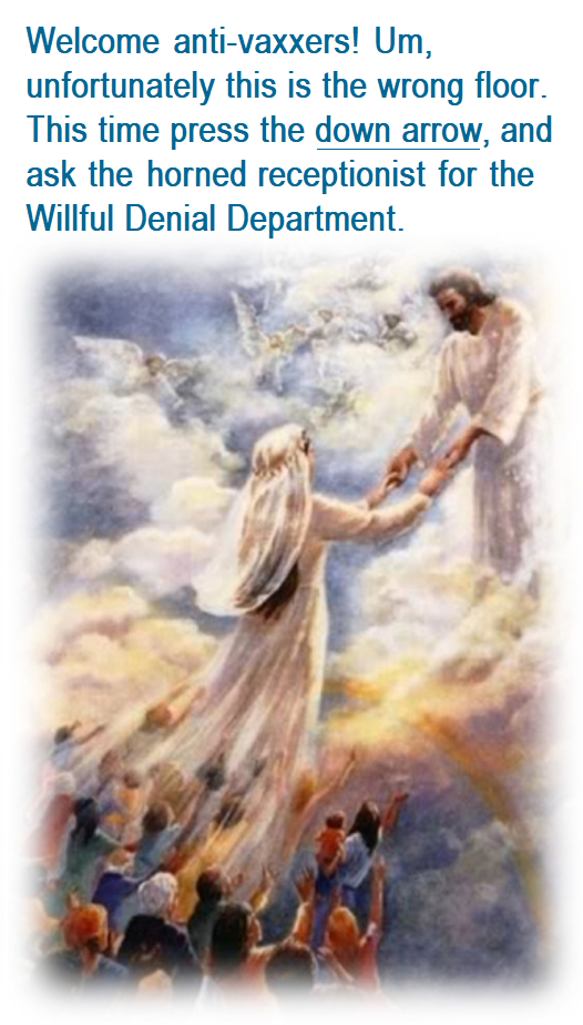 Not so fast | Scrolller