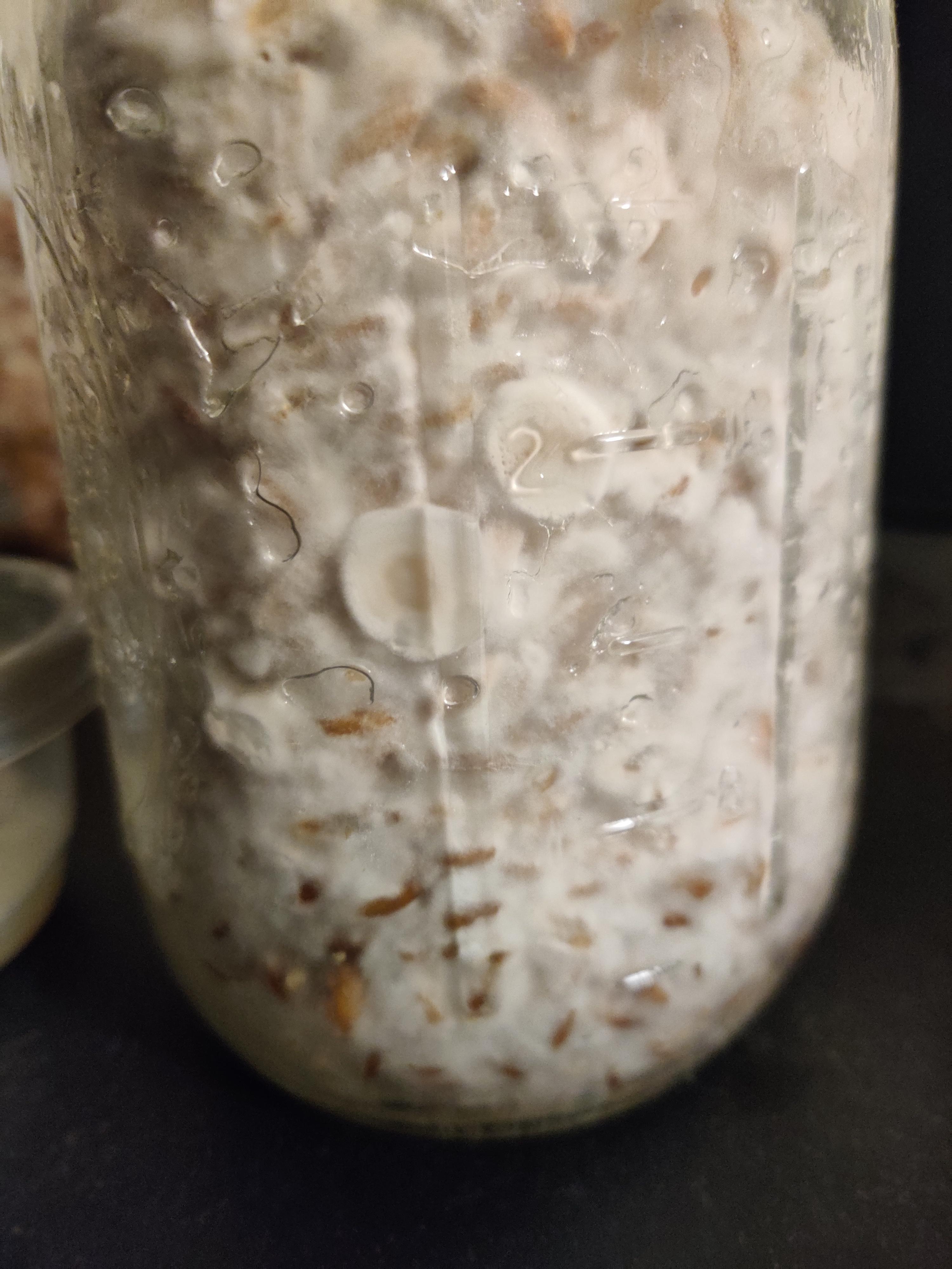 Not sure what these circles are in my APE jars. Should I toss them? | Scrolller