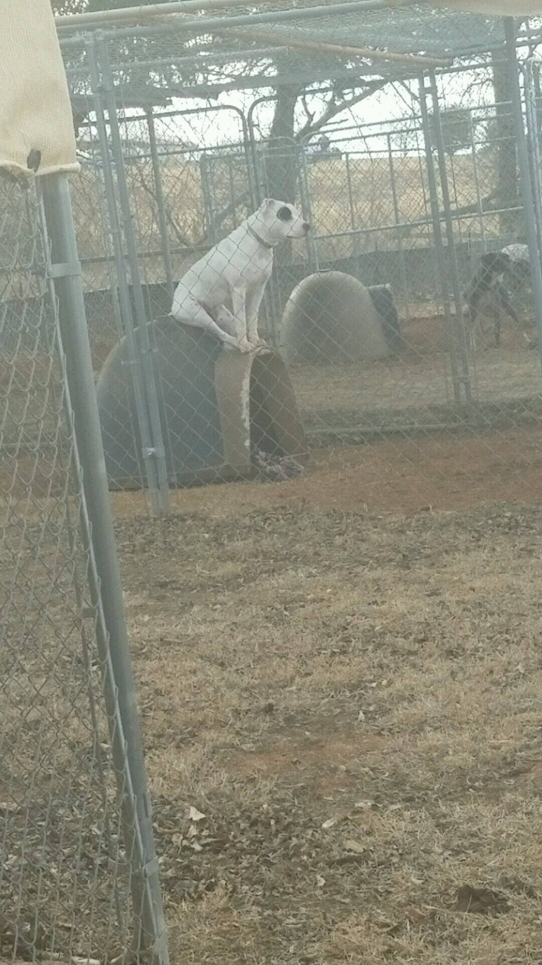 Nothin' to see here. Just keep it movin' human. | Scrolller