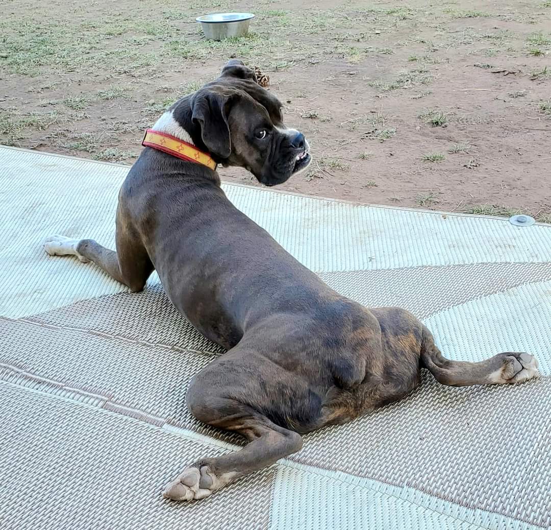 Nothing to see here move along | Scrolller