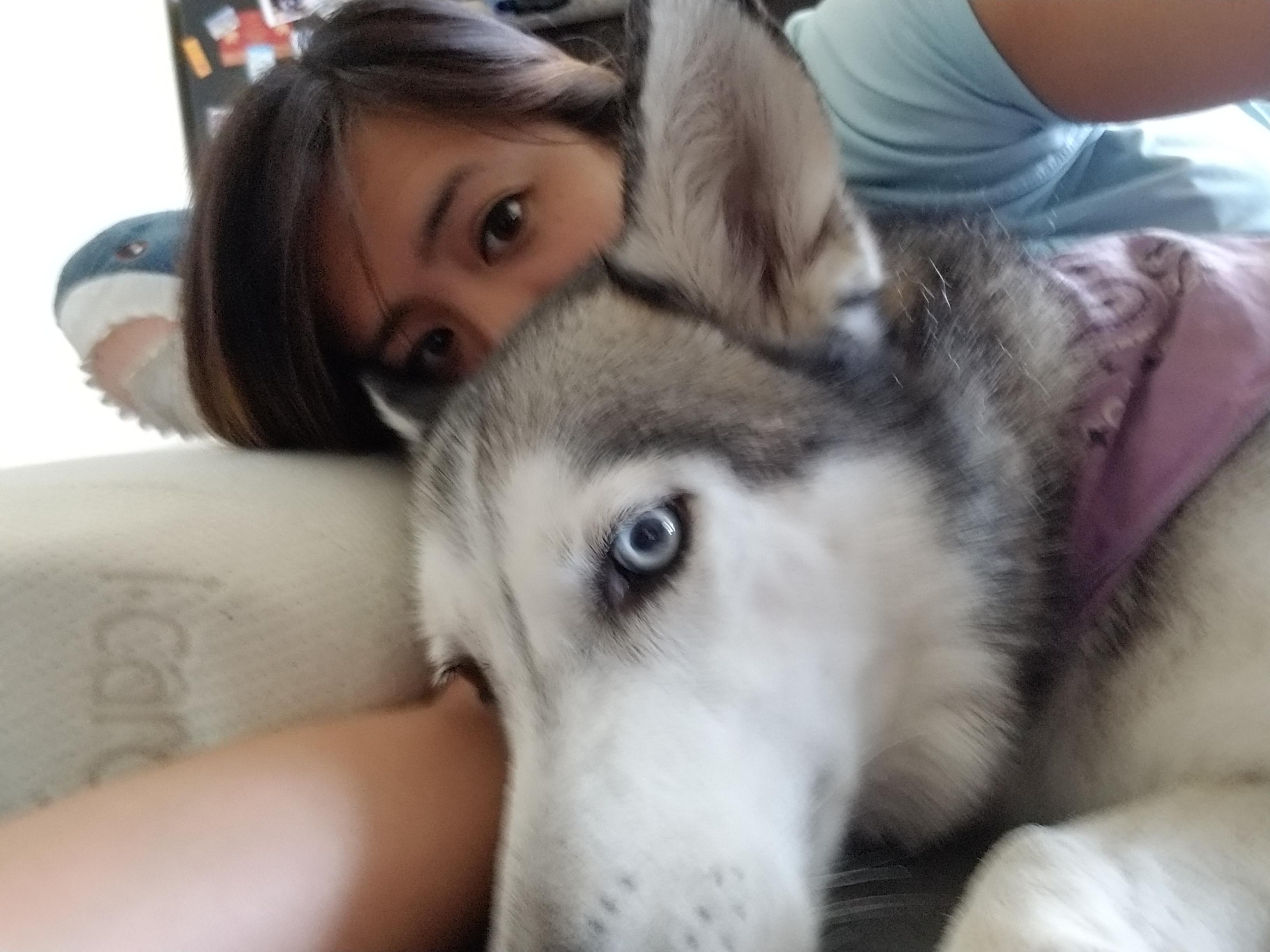 Notice me, baka!! | Scrolller