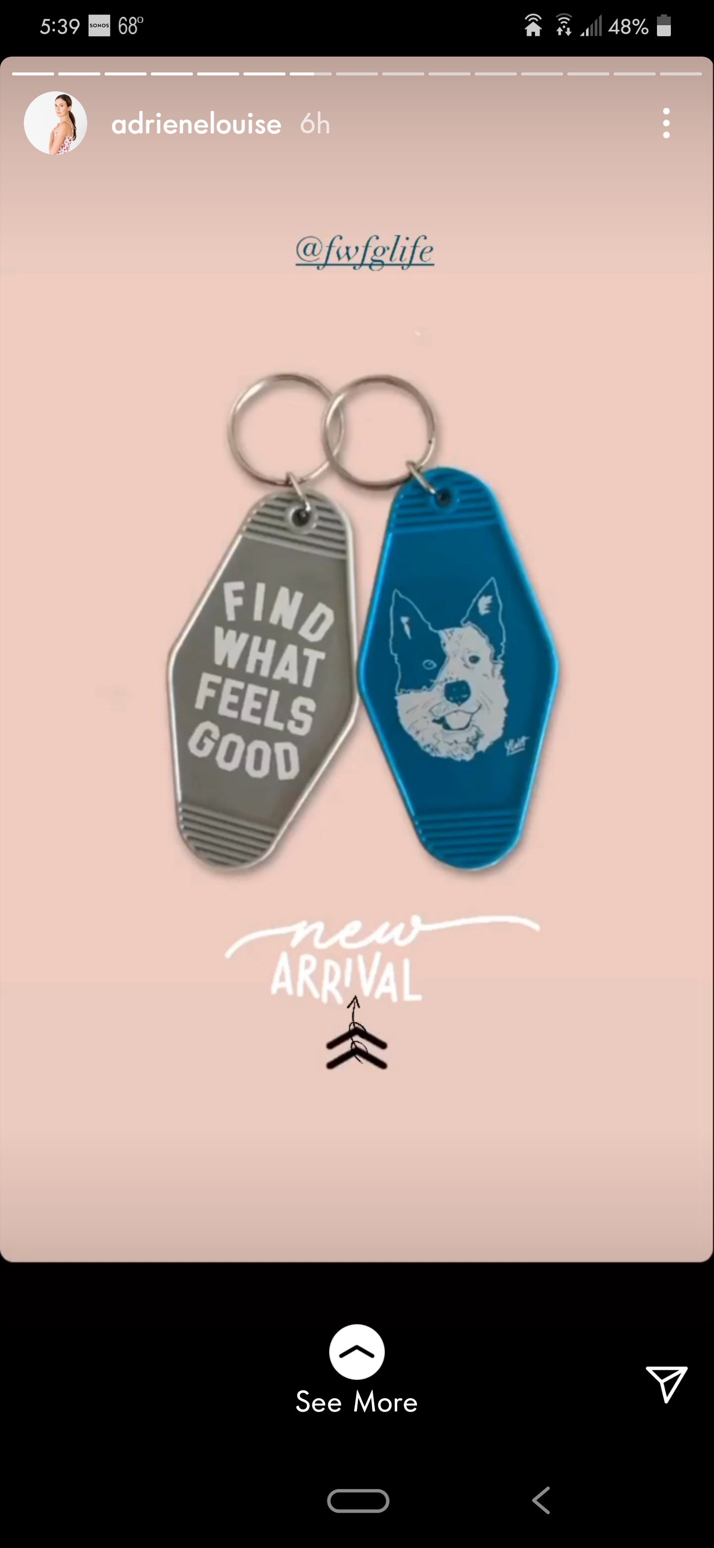 Now in the FWFG store, Benji keychain! | Scrolller