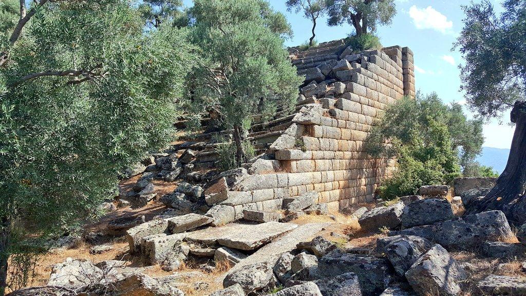 Now,olive trees're on the audience seat instead of people in Alinda Theater. [OC] | Scrolller