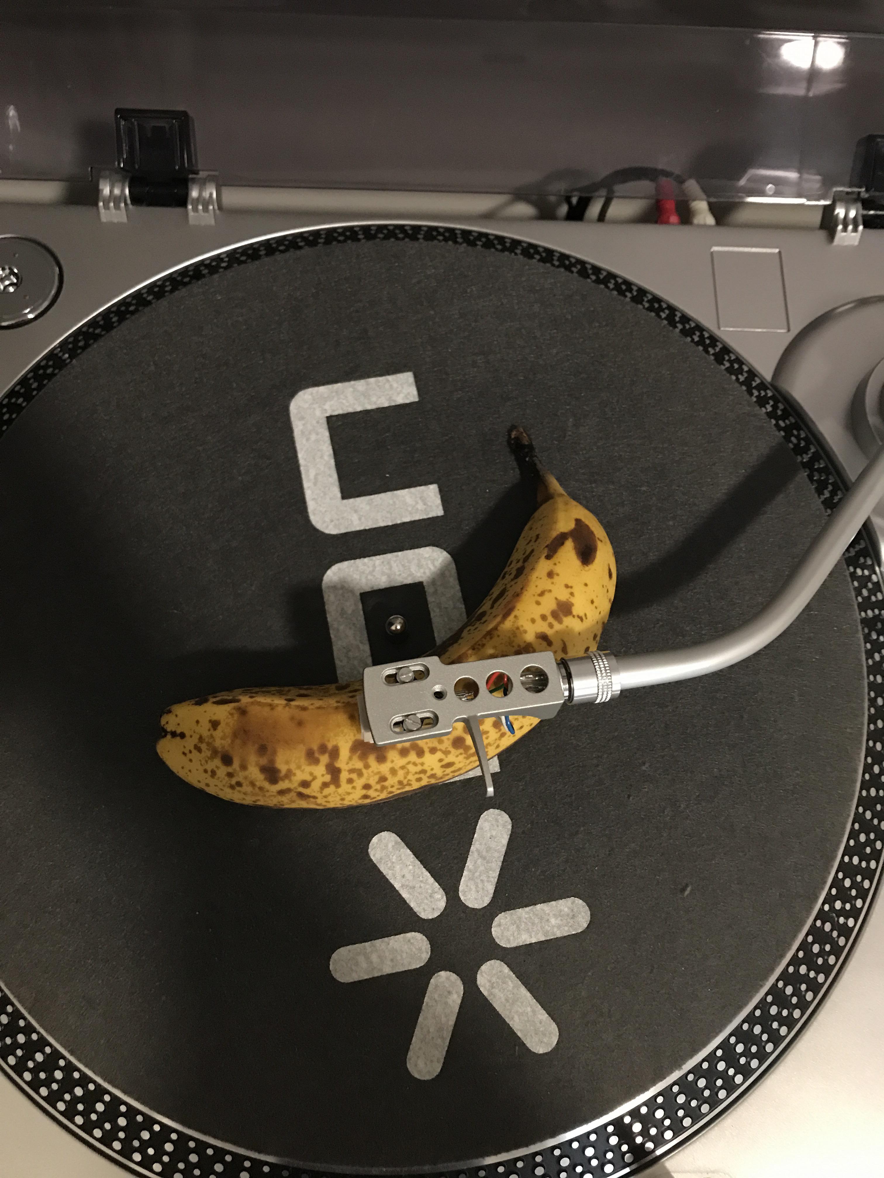 Now spinning: The Velvet Underground & Nico | Scrolller