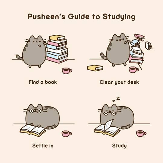 Now that Summer is over, Pusheen has some back to school study tips | Scrolller