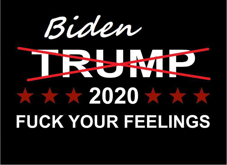 Now that the shoe is on the other foot, I made a pro-Biden image | Scrolller
