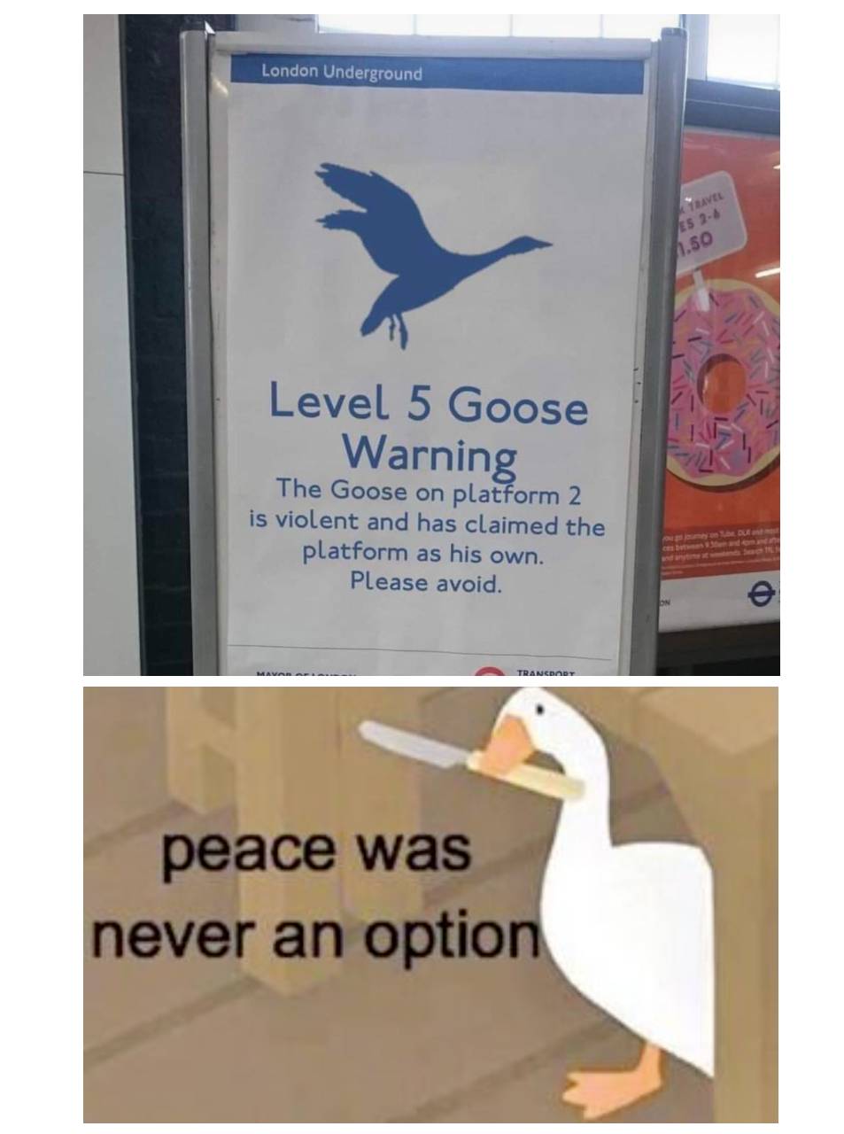 Now This is An Avengers Level Threat | Scrolller