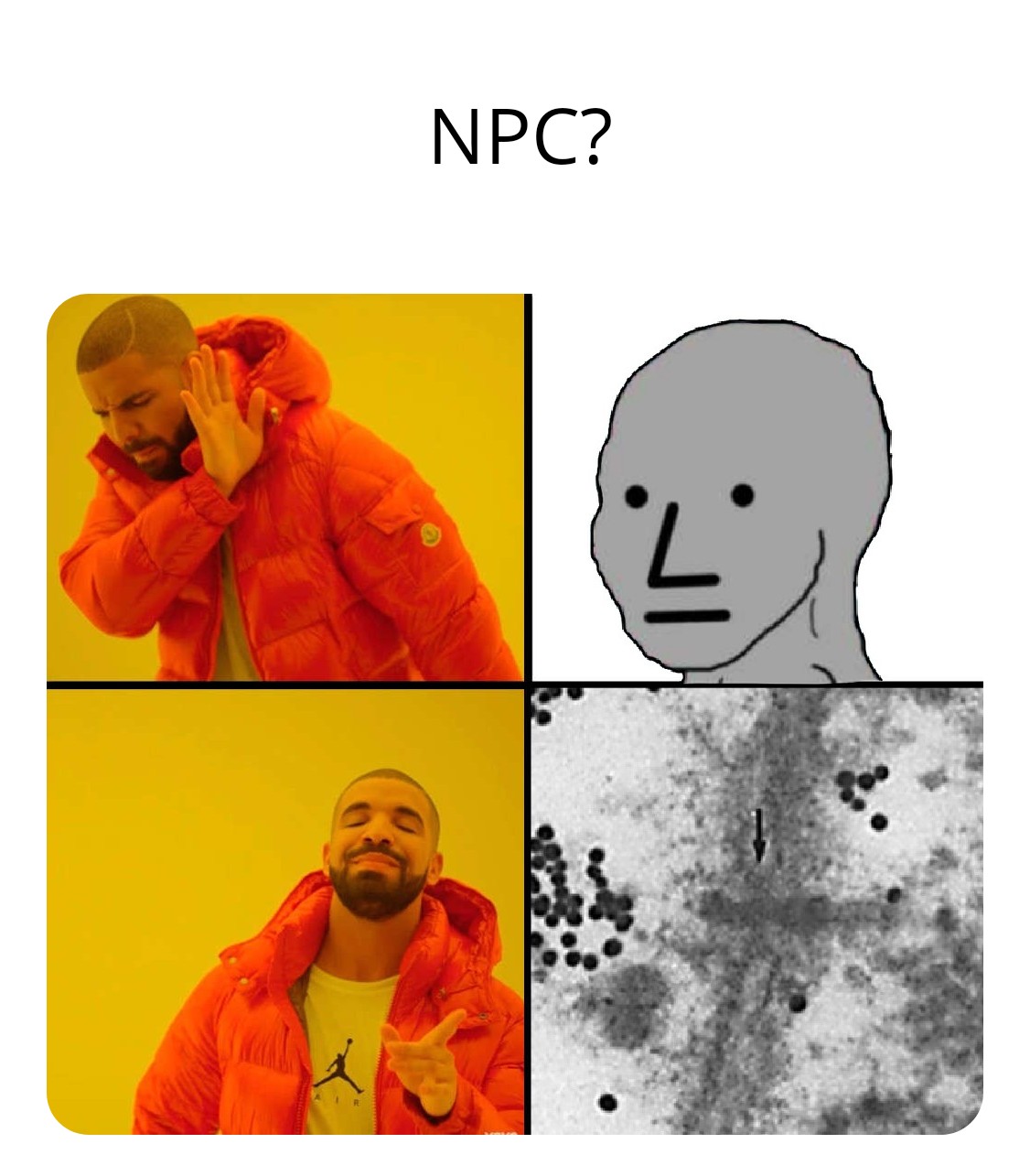 NPC? | Scrolller