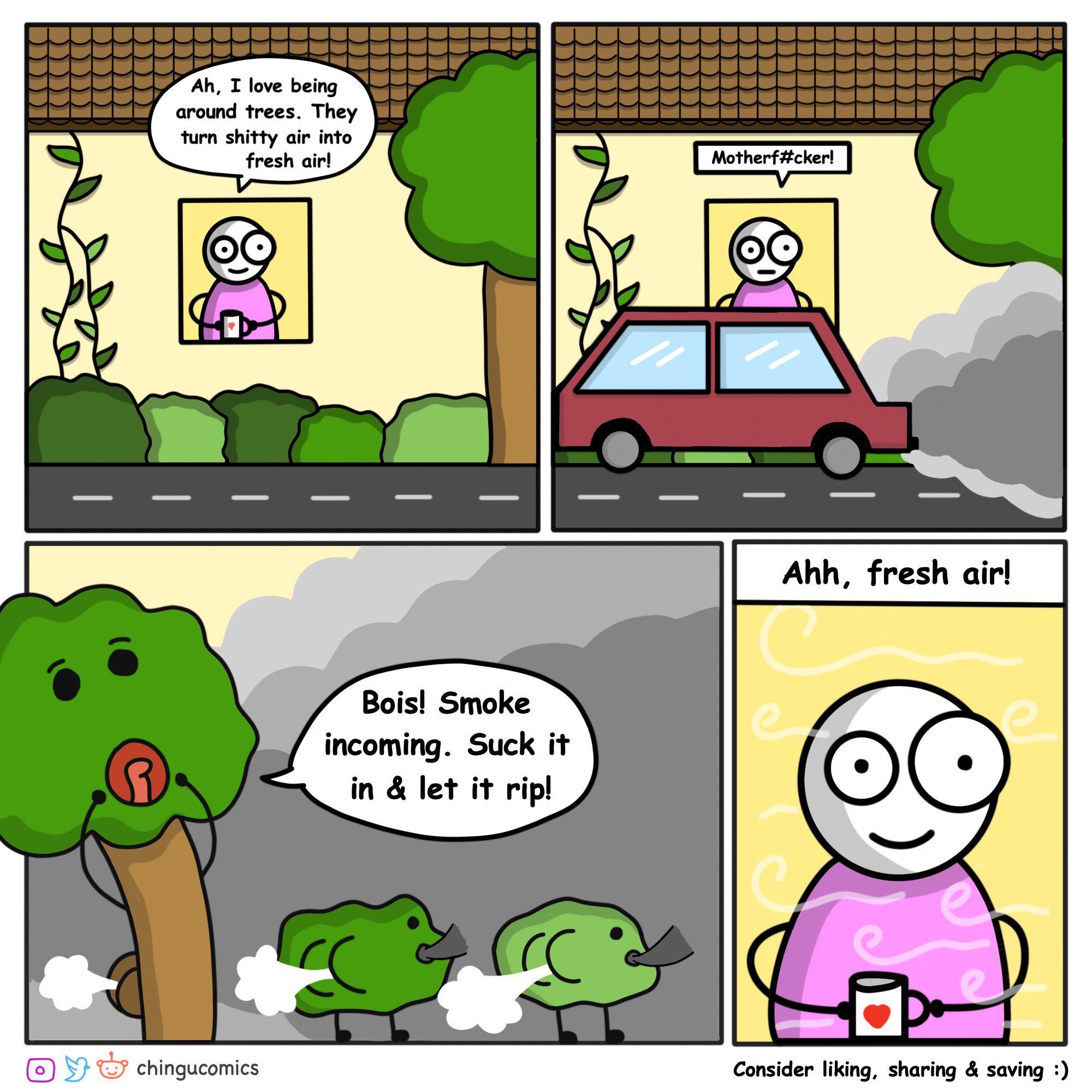 [OC] fresh air | Scrolller