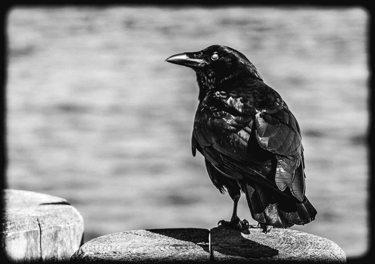 [OC] Photography, Me, 2020 | Scrolller