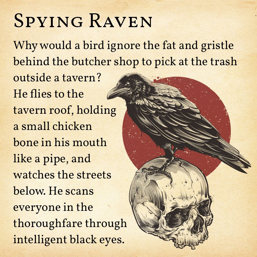 [OC] Spying Raven | Scrolller