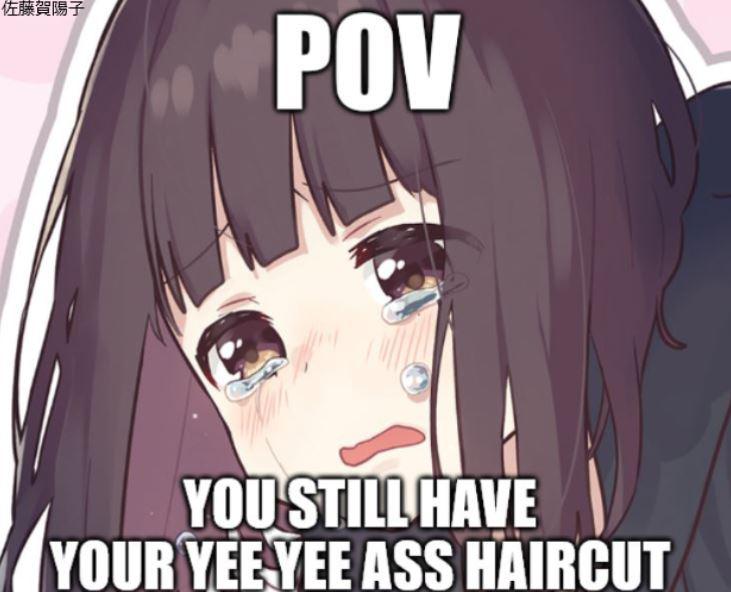 OC: Yee Yee Ass Haircut POV | Scrolller