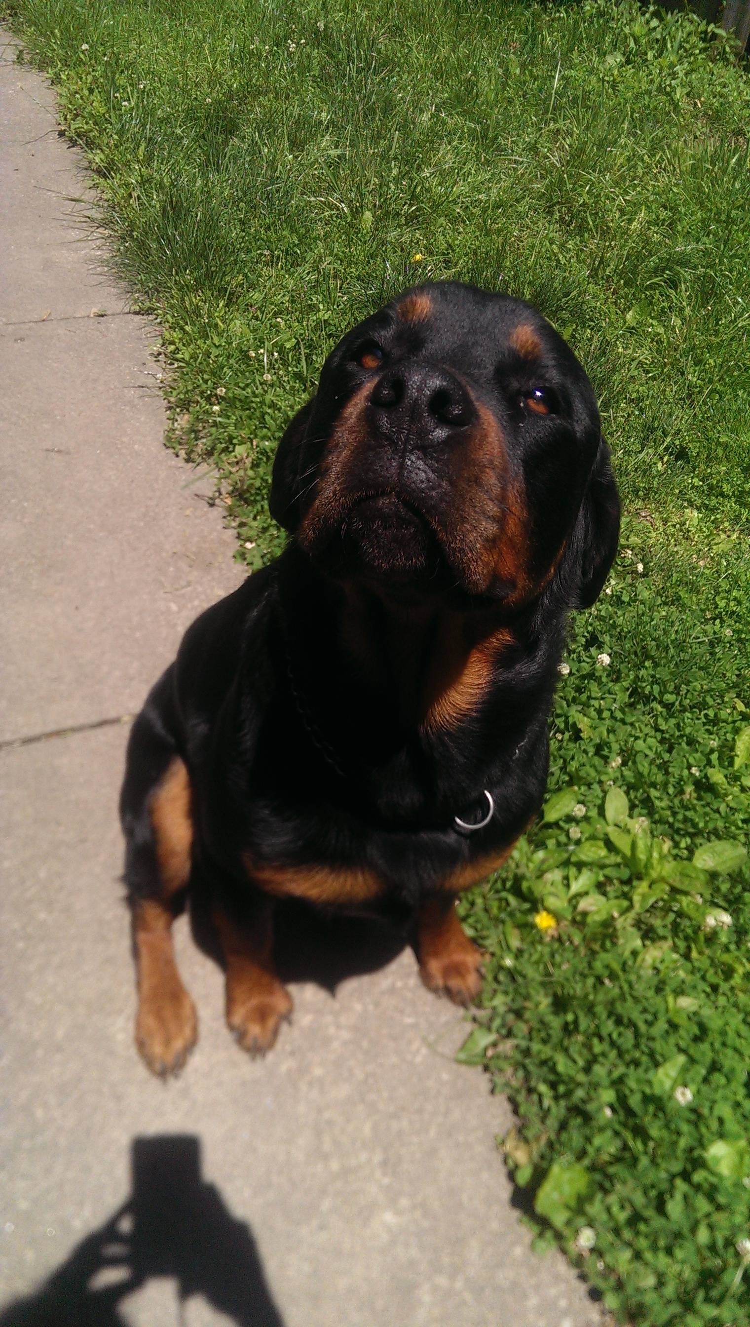 Octavian "Gus" Augustus. Also known as "Mr. Squish Face" | Scrolller