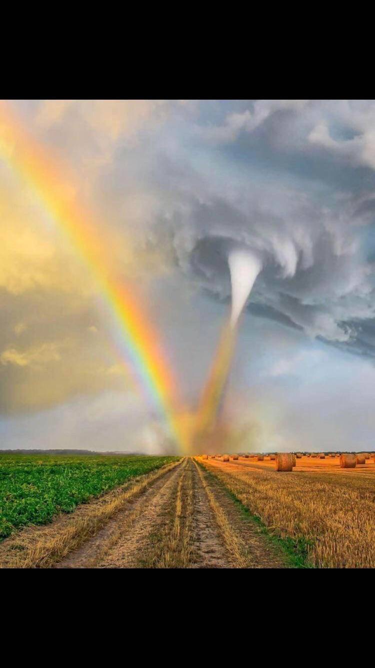 Oddly stunning | Scrolller