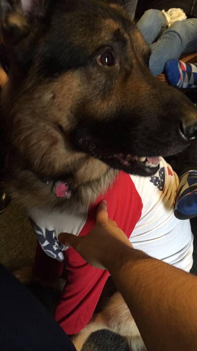 Odin, the Frat Hound | Scrolller