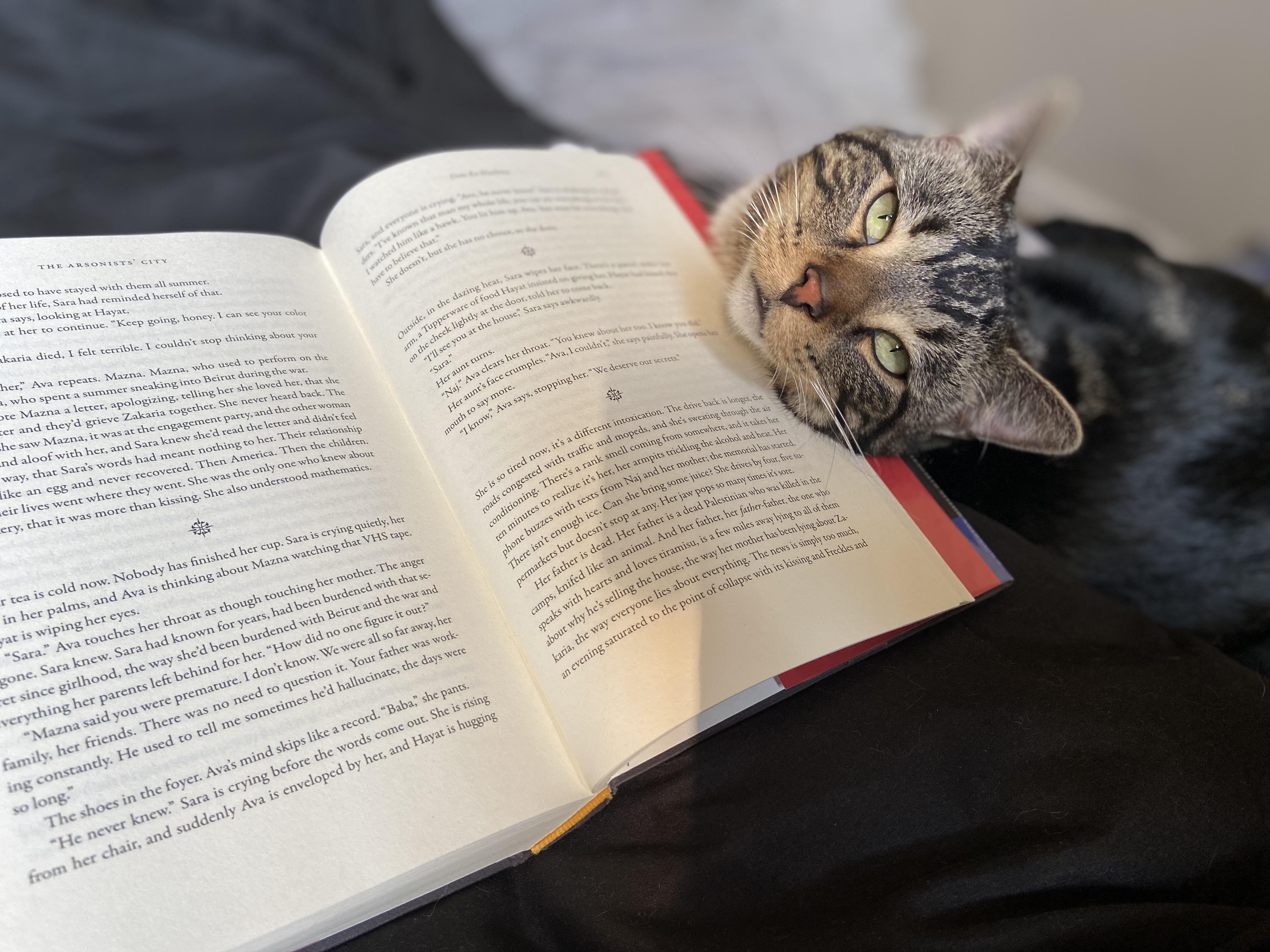 Official reading buddy | Scrolller