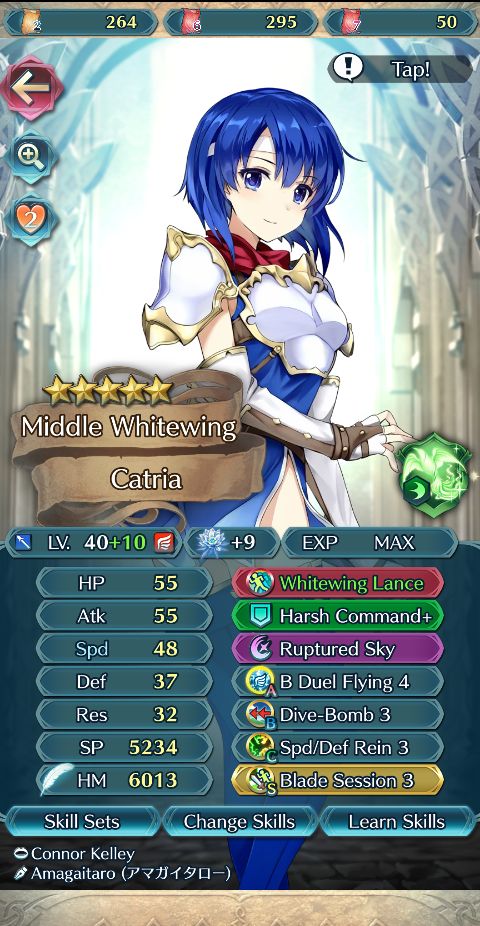 OG Catria Arena Build | Scrolller
