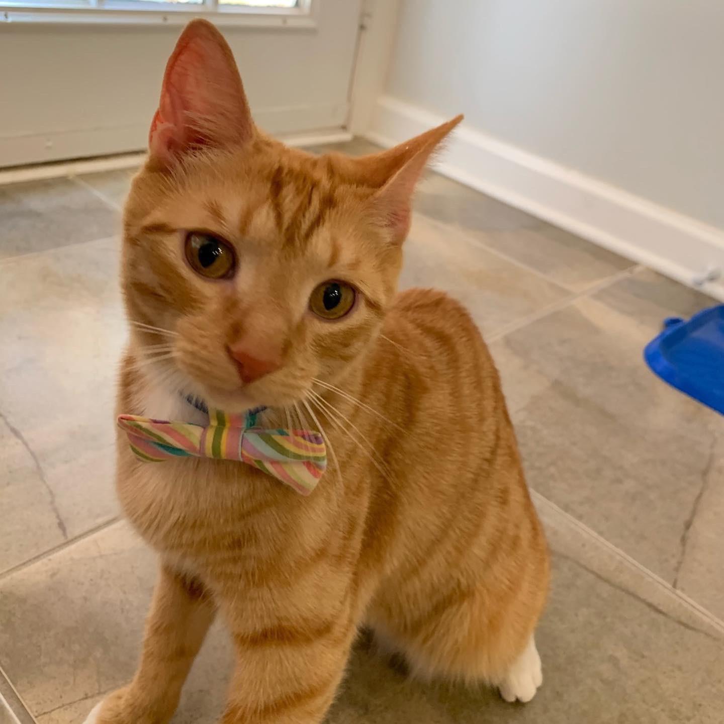 Oh hey, just being handsome | Scrolller