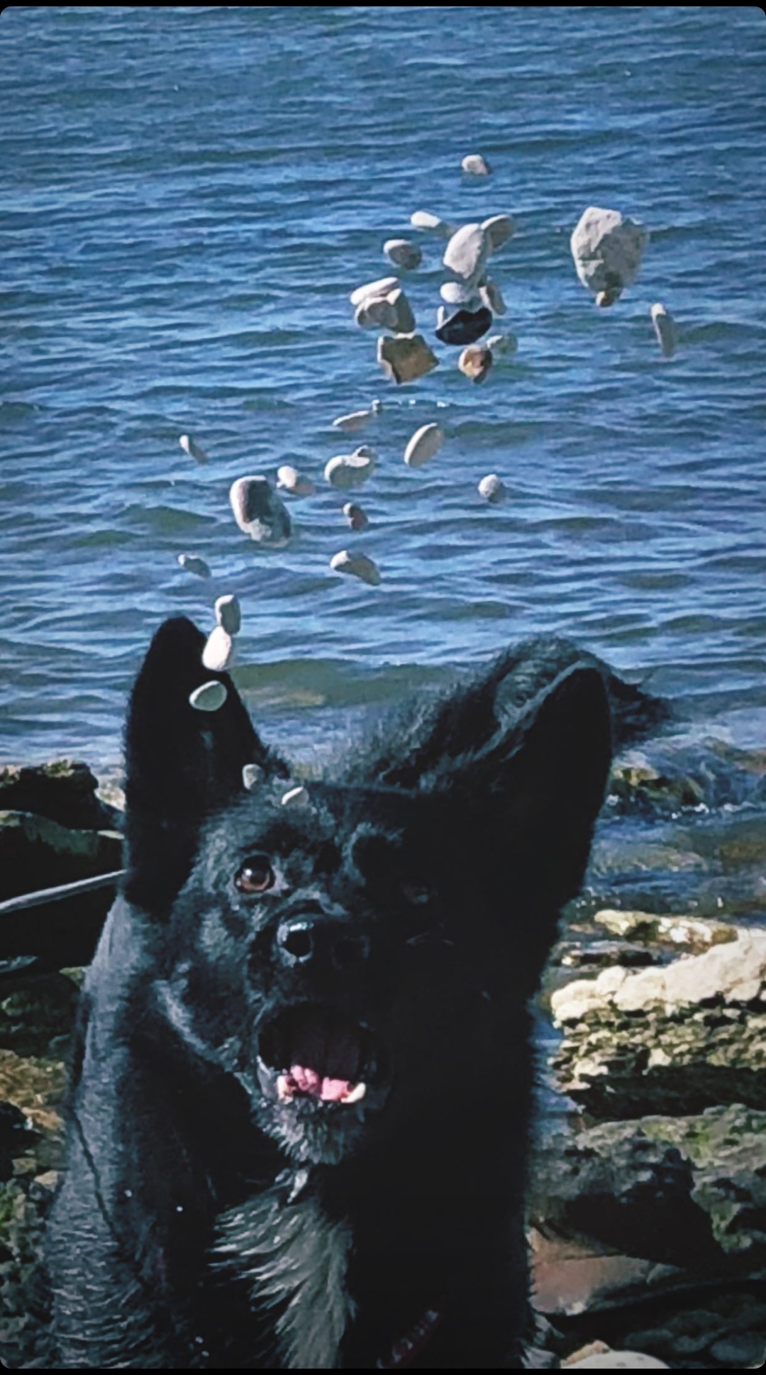 Oh my god look at these flying rocks | Scrolller