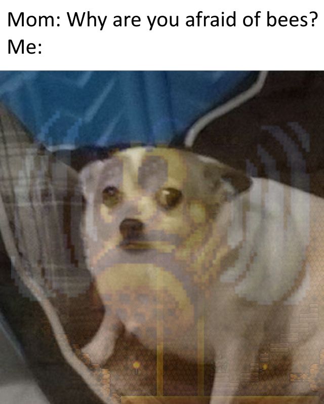 Oh no... the pain, suffering on Expert mode. | Scrolller