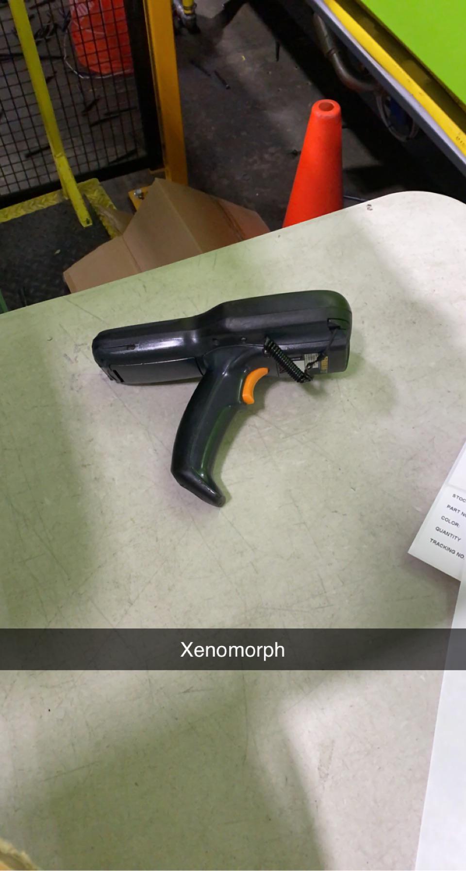 Oh shit they’re real | Scrolller