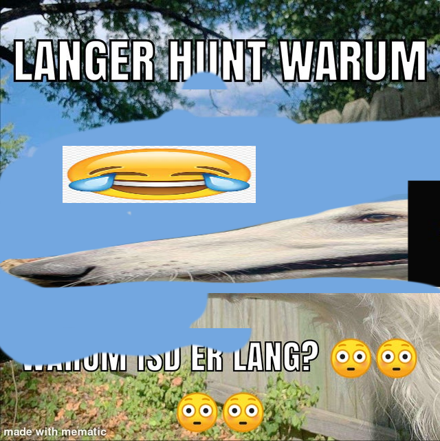 Oha lang | Scrolller