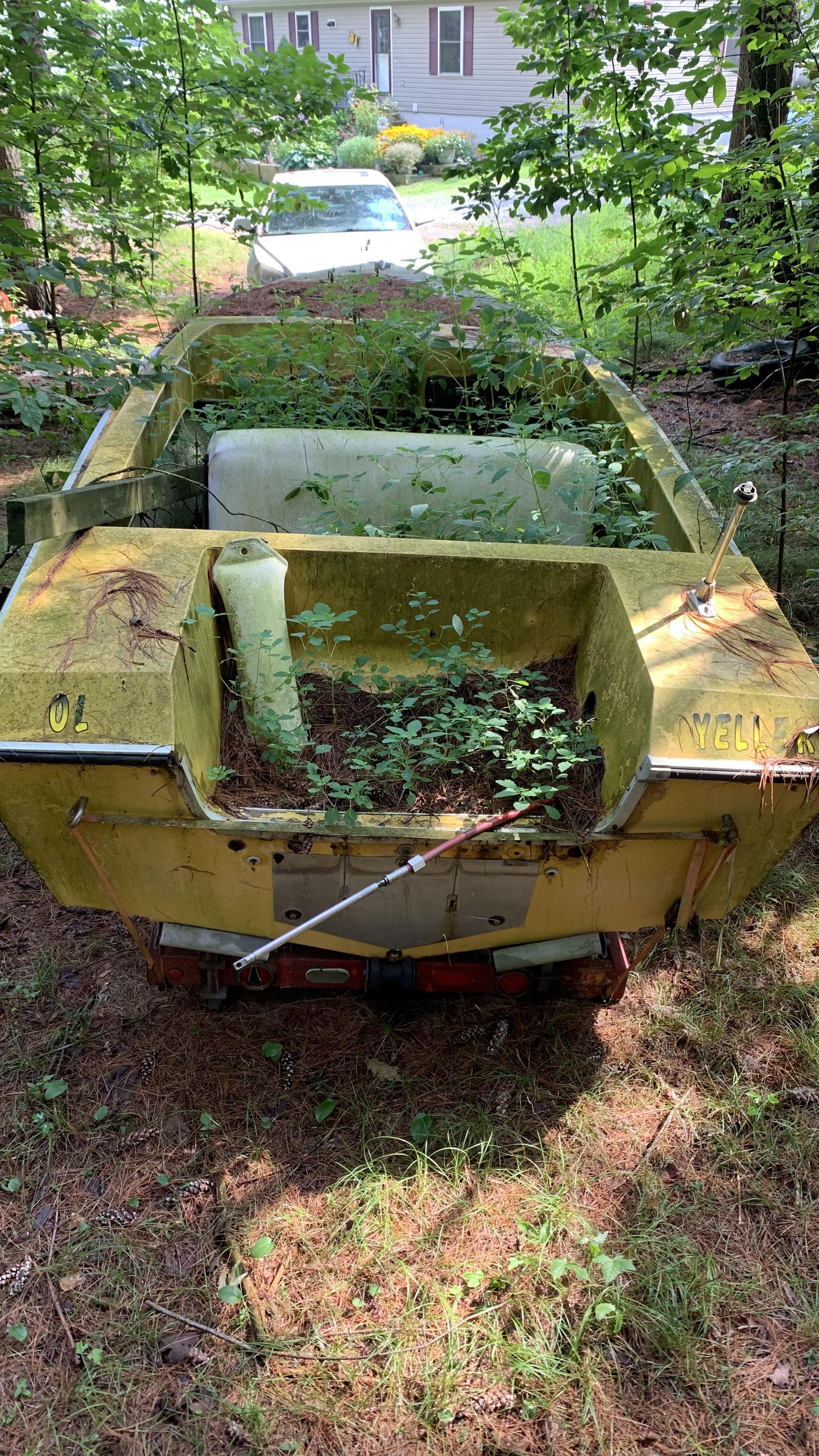 “Ol Yeller” | Scrolller