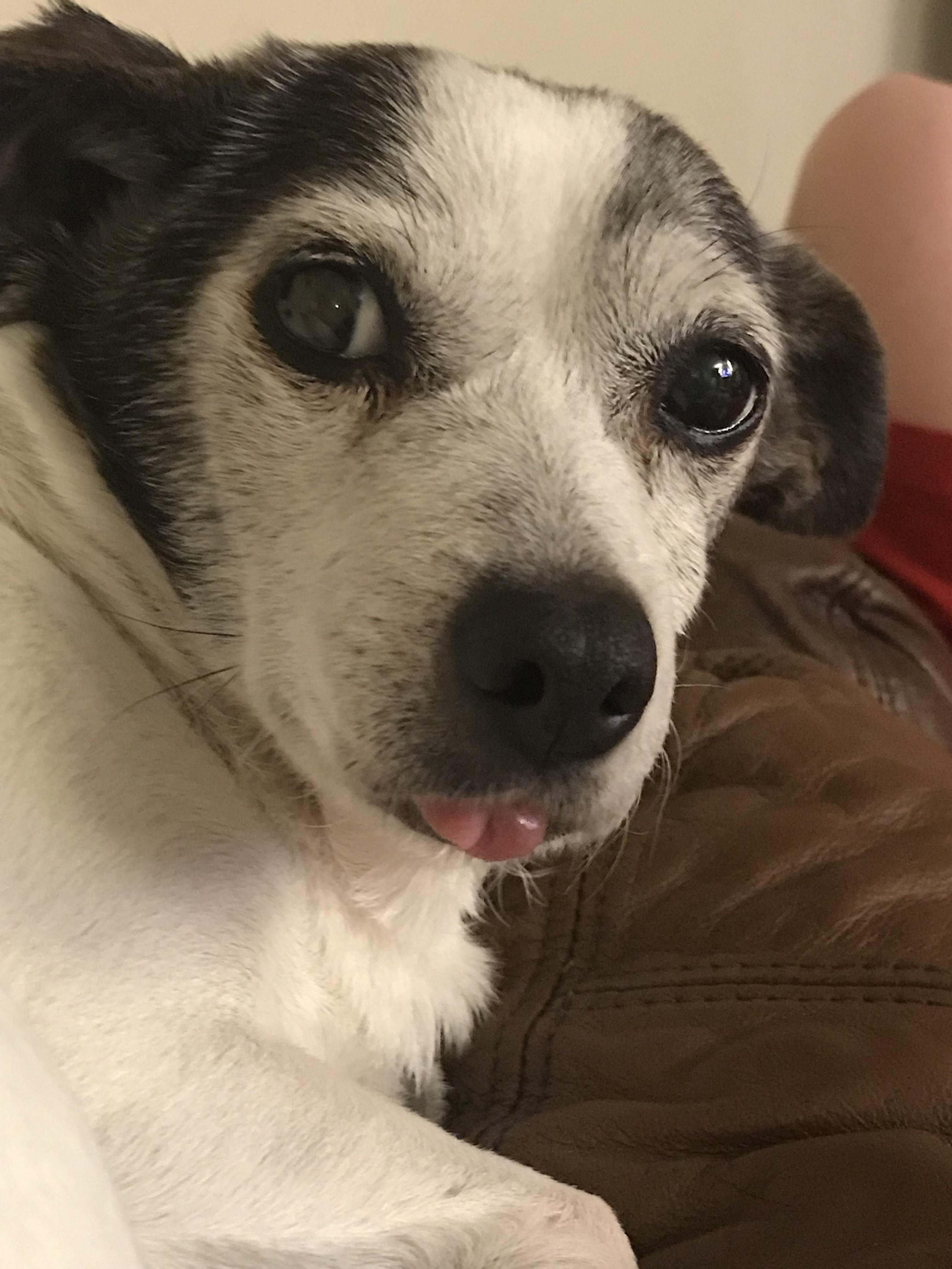 Old girl Mlep | Scrolller