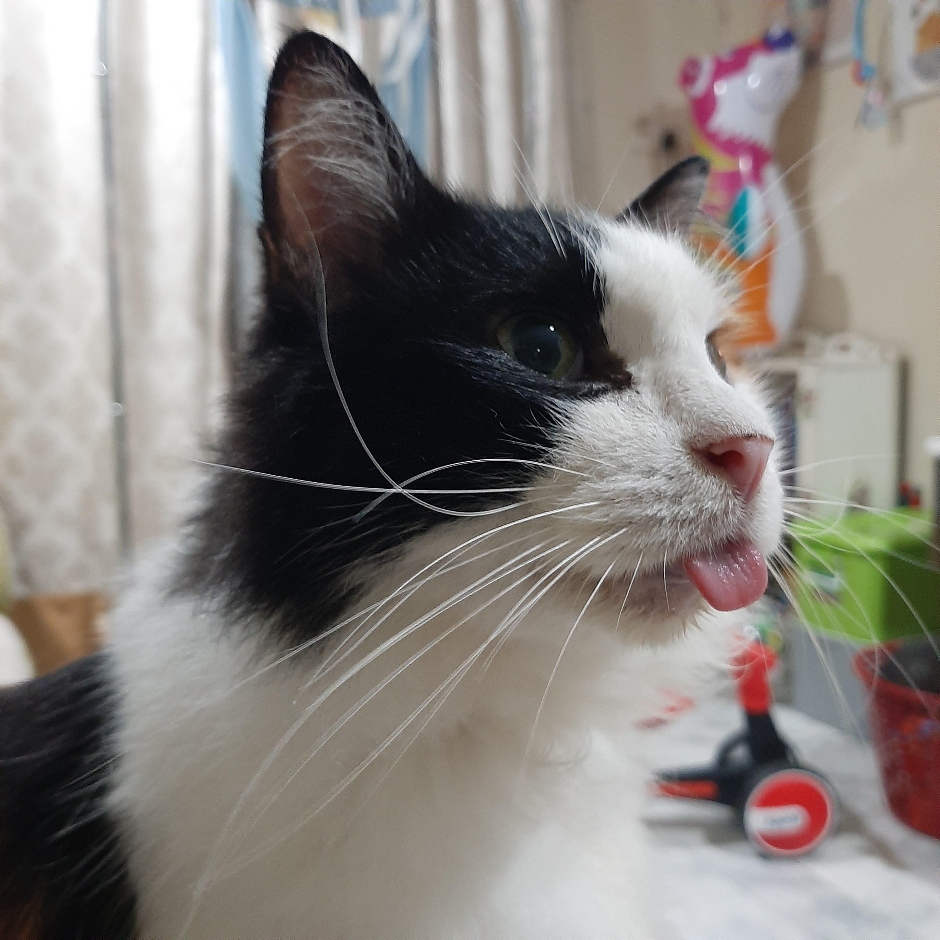 Old lady mlep. | Scrolller