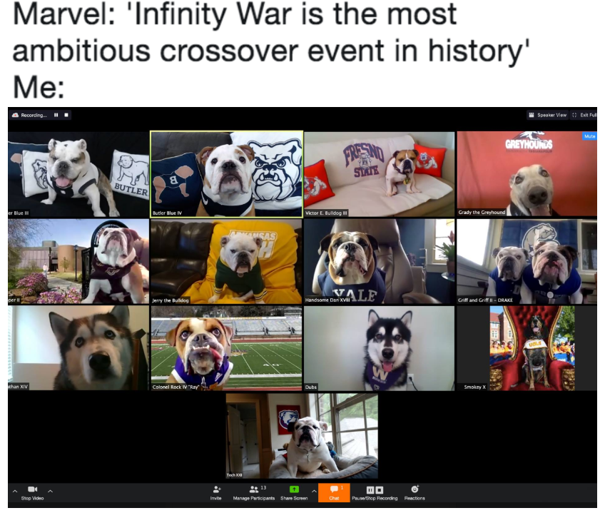 Old meme format but I had to | Scrolller