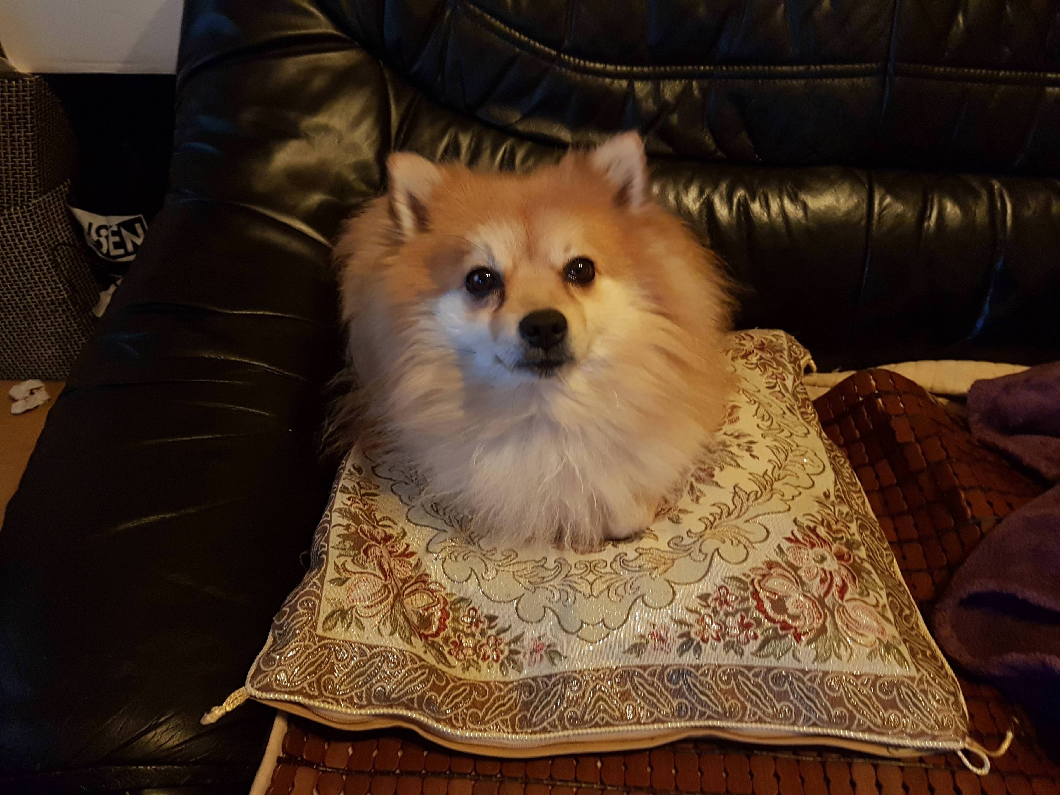 Old picture of loaf | Scrolller