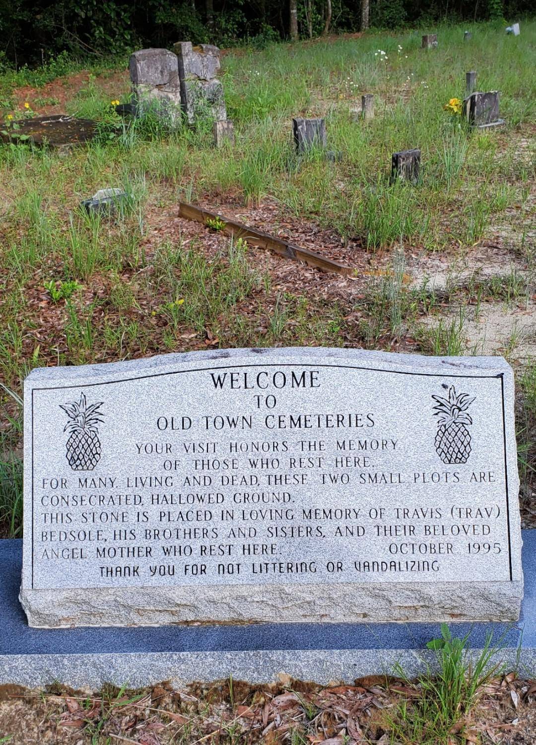Old town cemetery, aka Teel creek cemetery in Kinston, Alabama. A lot ...