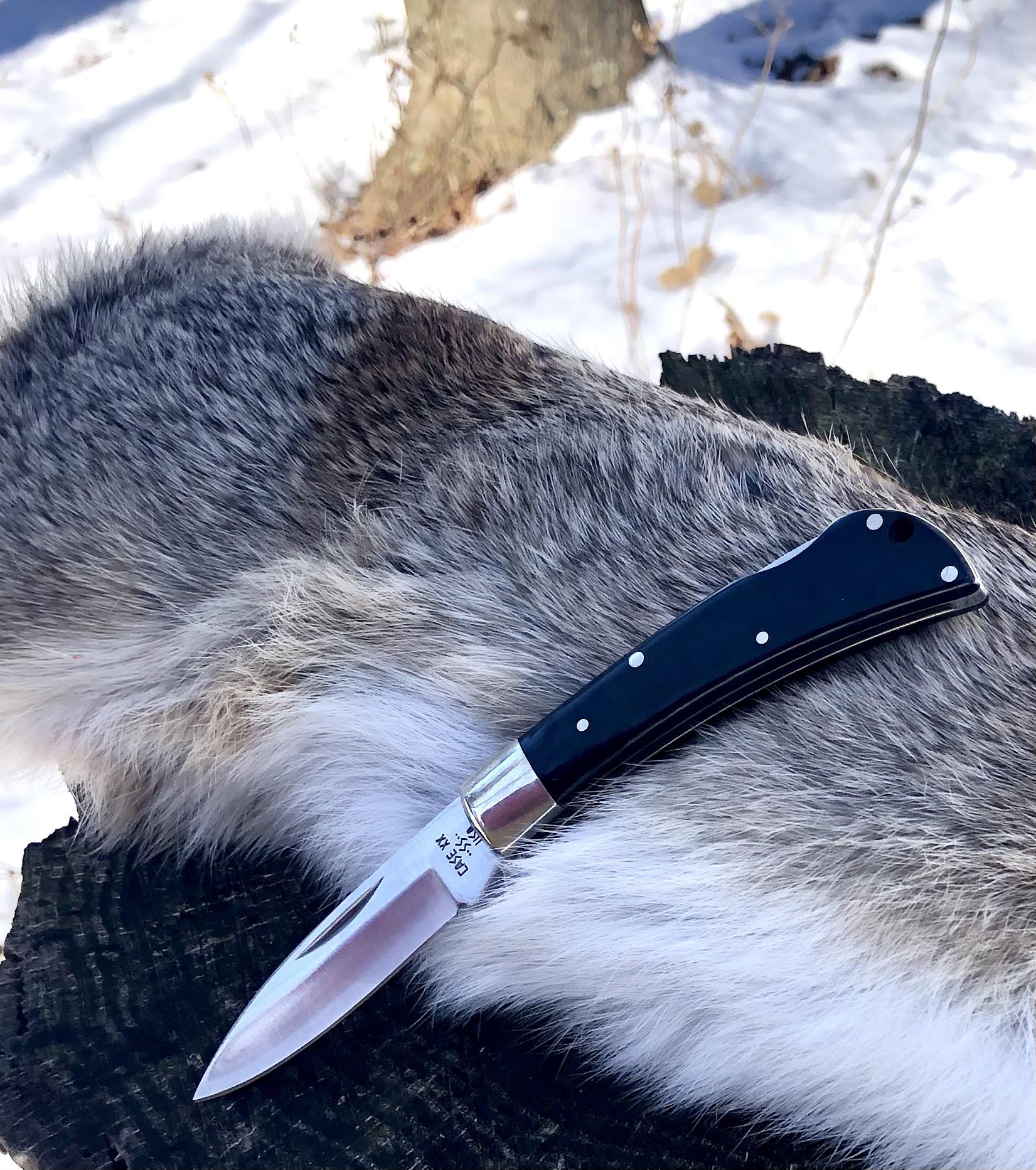 On a bit of a Case kick. | Scrolller