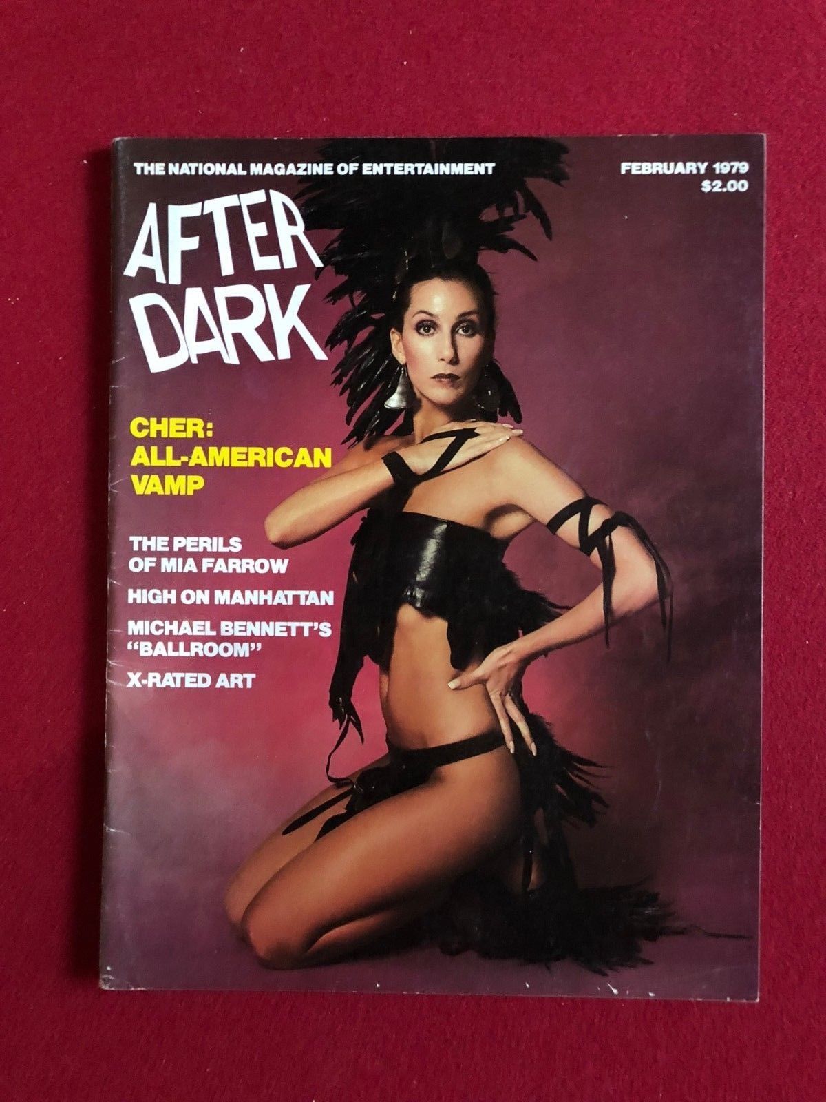 On the cover of After Dark magazine in February 1979 | Scrolller