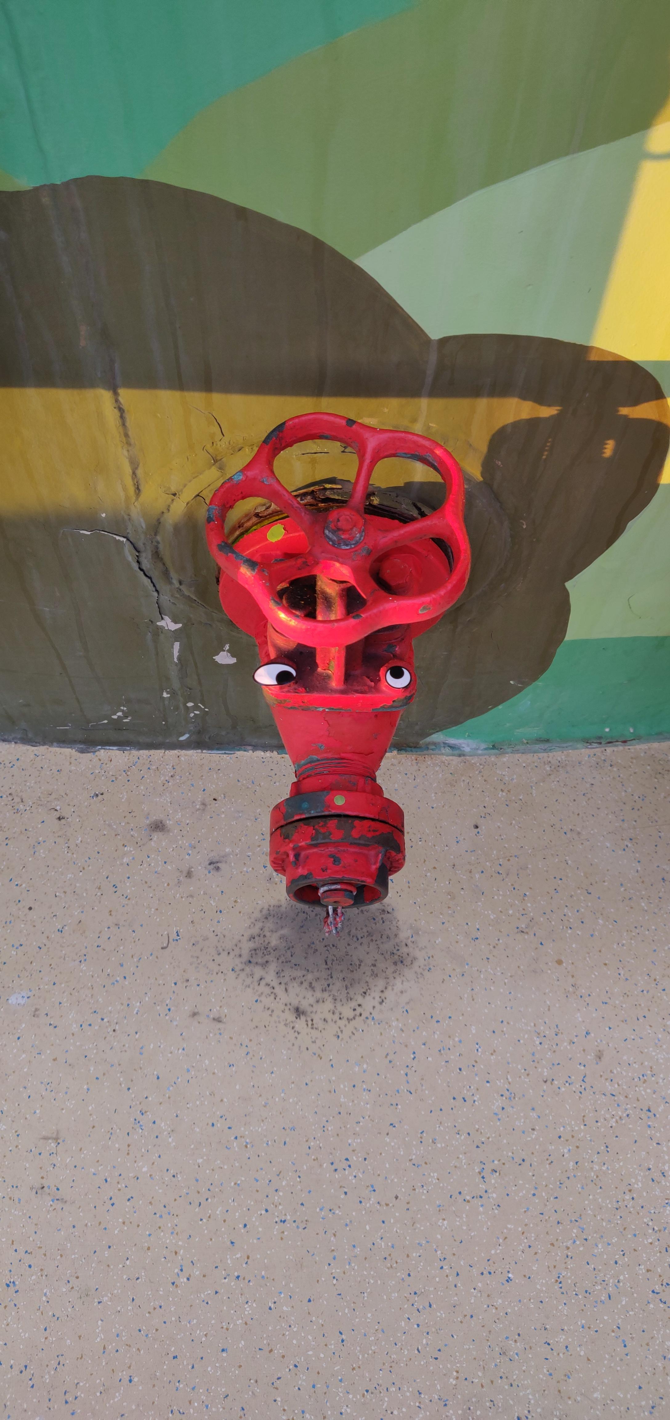 On the Flogging Molly cruise ship | Scrolller