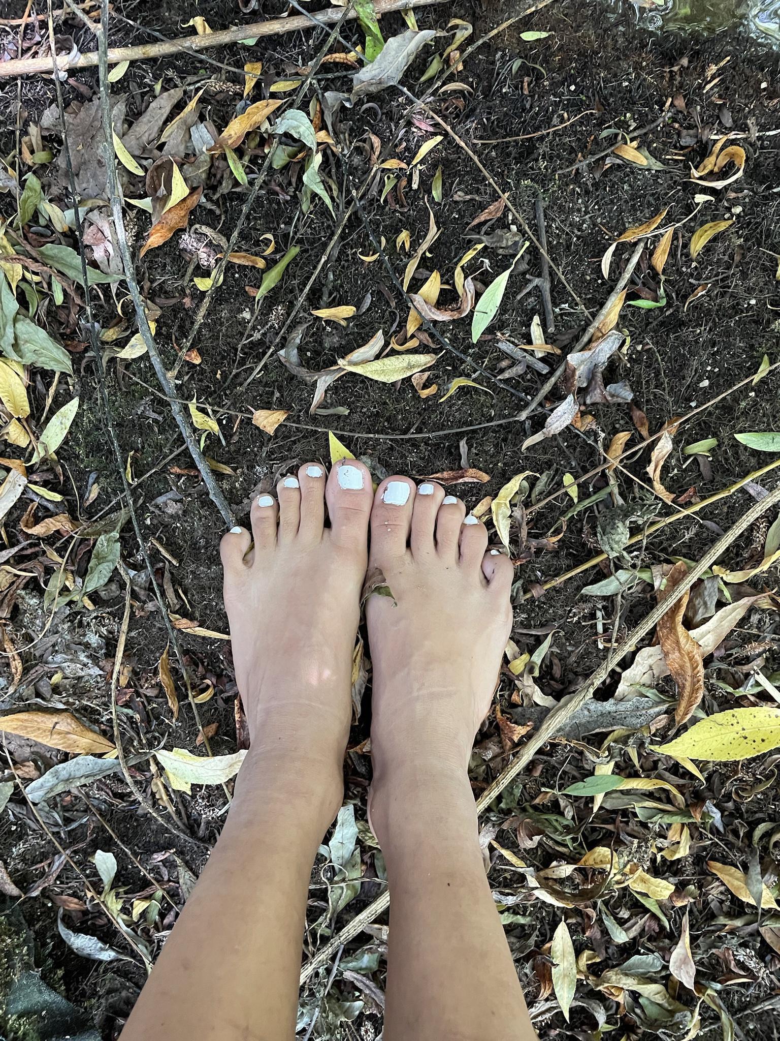 On the ground | Scrolller