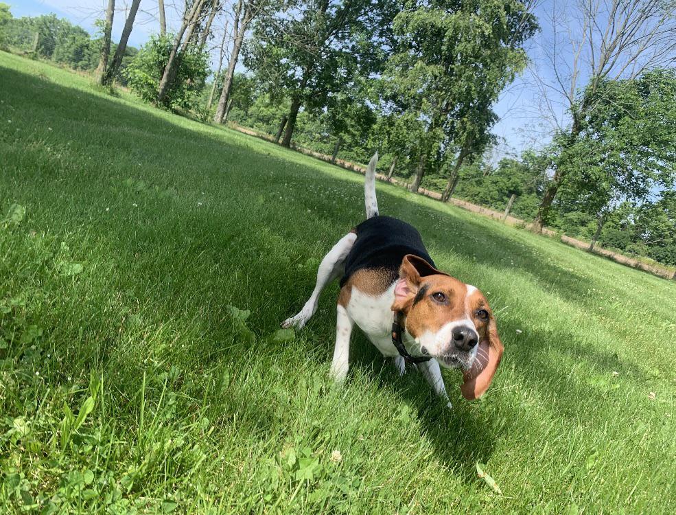 On the prowl | Scrolller