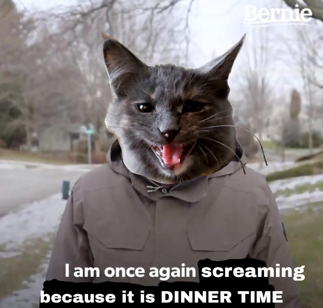 Once again....! | Scrolller